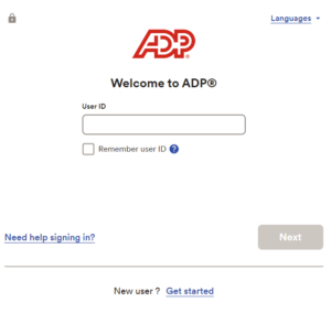 How do I access my paystubs? - Welcome to Raise!